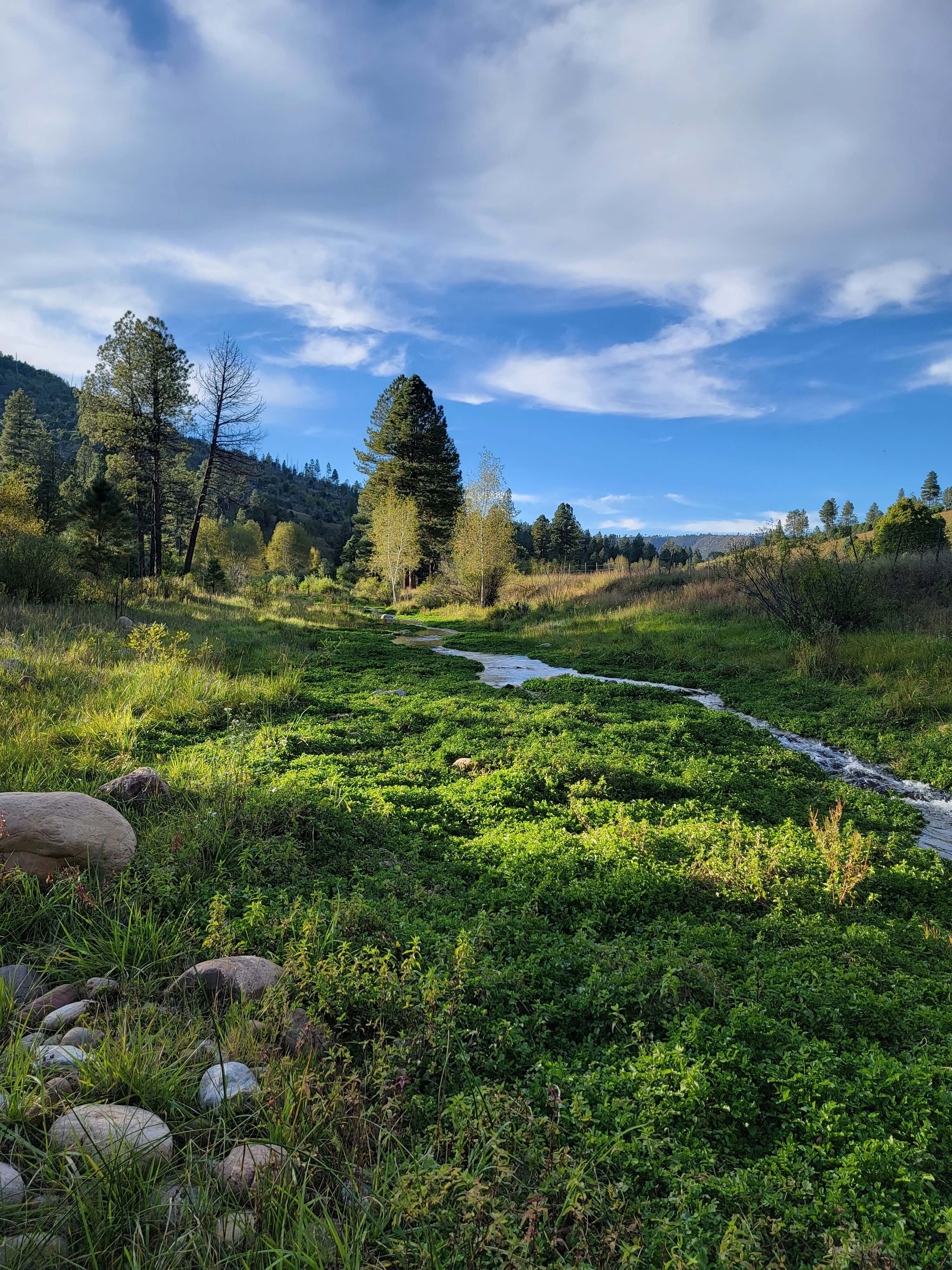 Arizona Fishing Report - April 2025. All waters in Arizona. – Pheasant ...